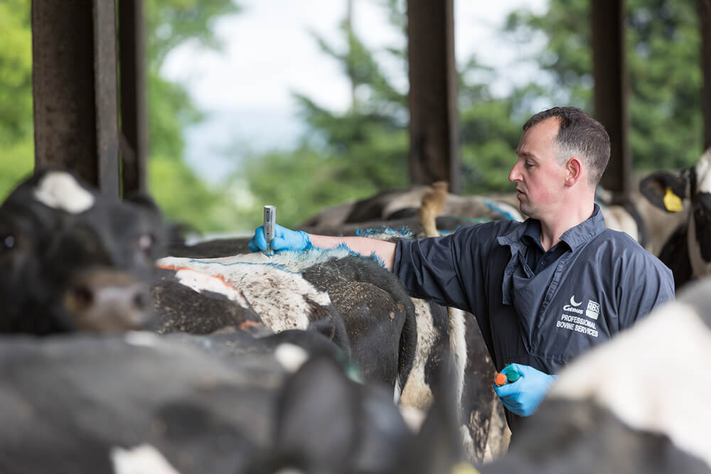 Reproductive Management Systems - ABS Global UK