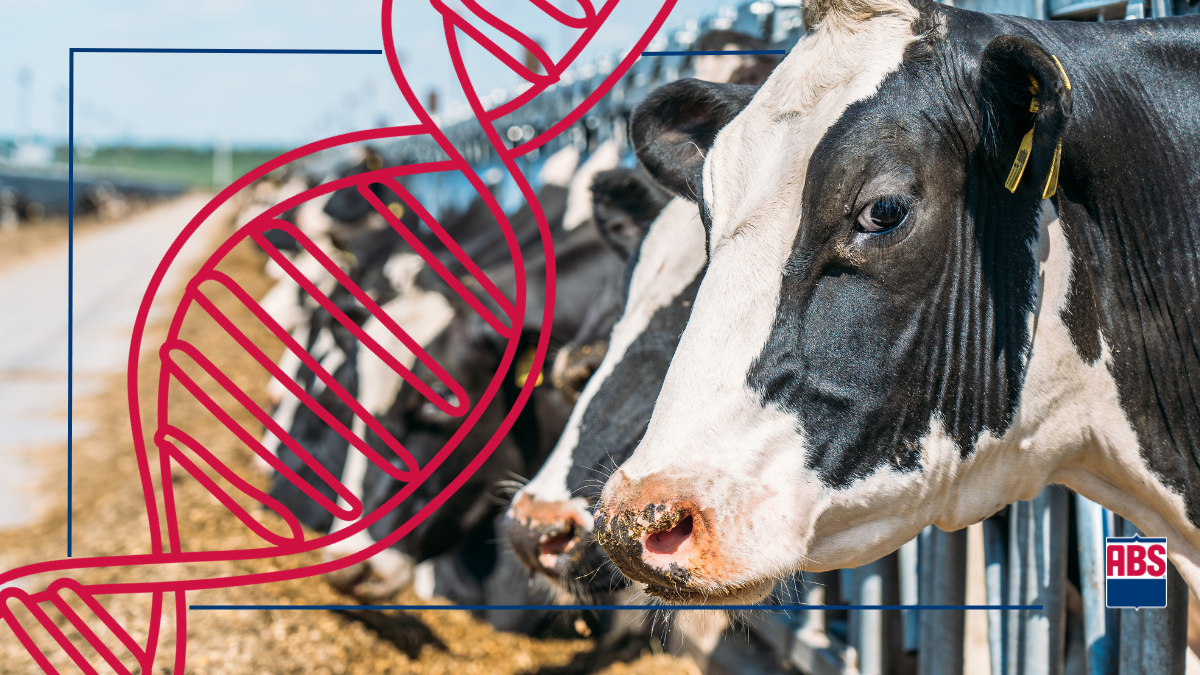 Phenotypic Performance Depends on an Animal’s Genetics and Environment ...