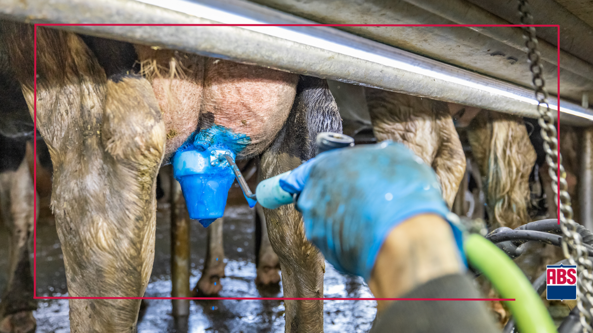 Nine Reasons to Manage Udder Health - ABS Global US