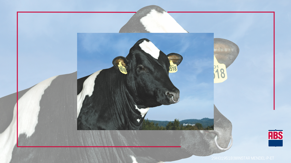 August 2024 Sire Summary: A Strengthened and Diversified Core - ABS ...